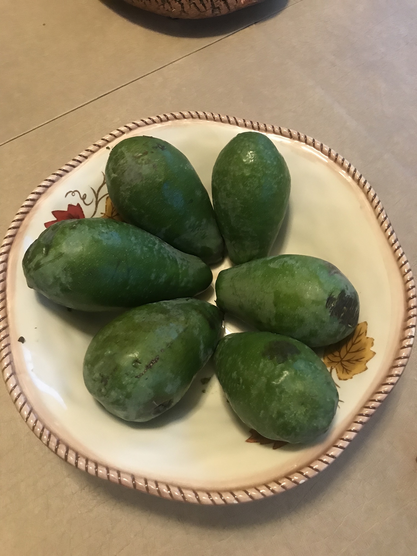 The amazing Duke Avocado - General Fruit Growing - Growing Fruit