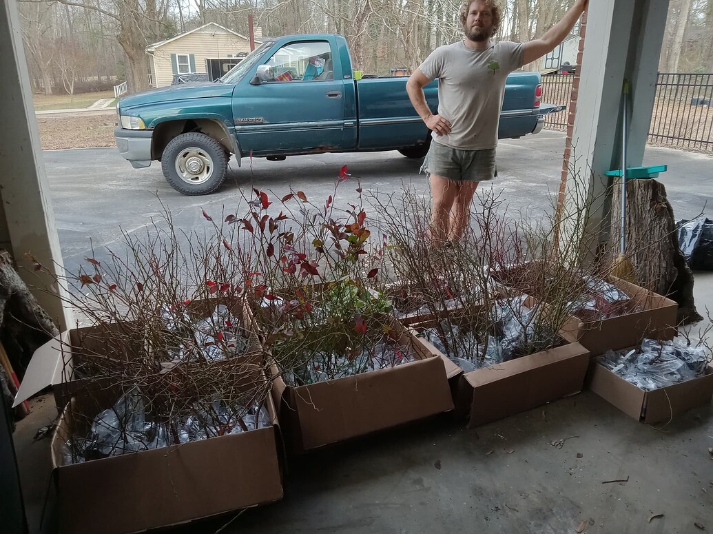 Hartmann's Plant Company, WOW! - General Fruit Growing - Growing Fruit