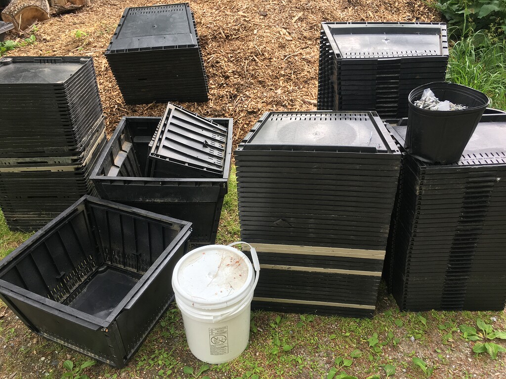 Amaroo tree pots - General Fruit Growing - Growing Fruit
