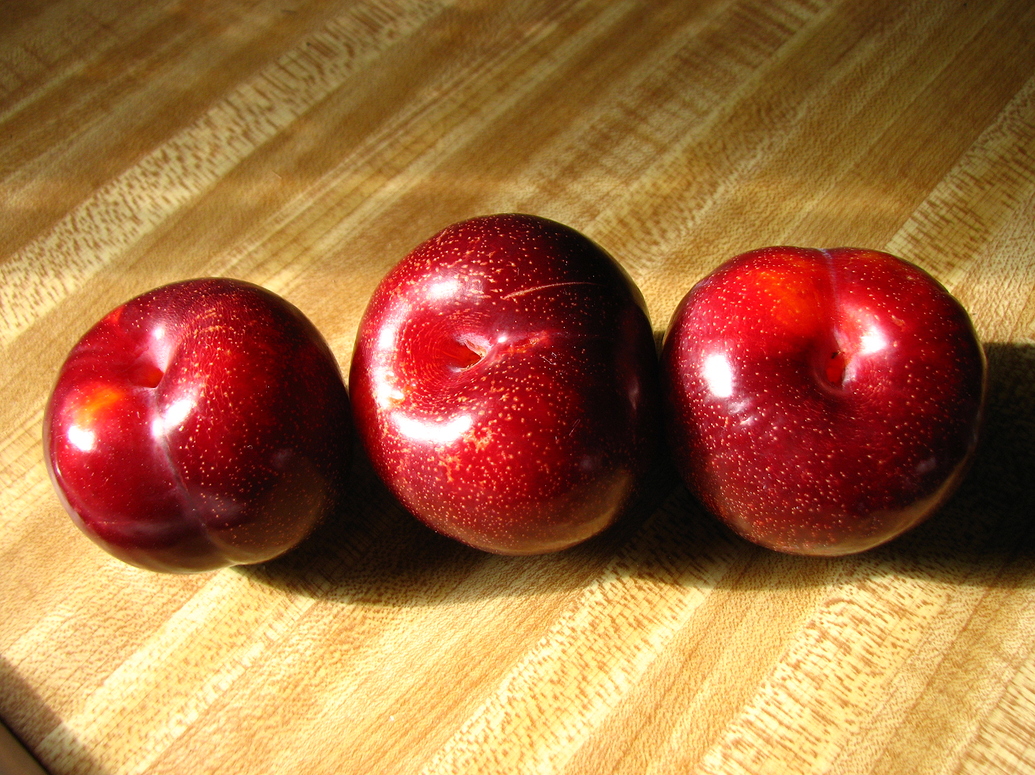 Plums with black skin and amber flesh - General Fruit Growing - Growing ...