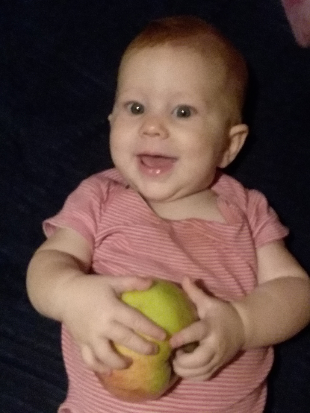 A few early apples - Pictures! - Growing Fruit