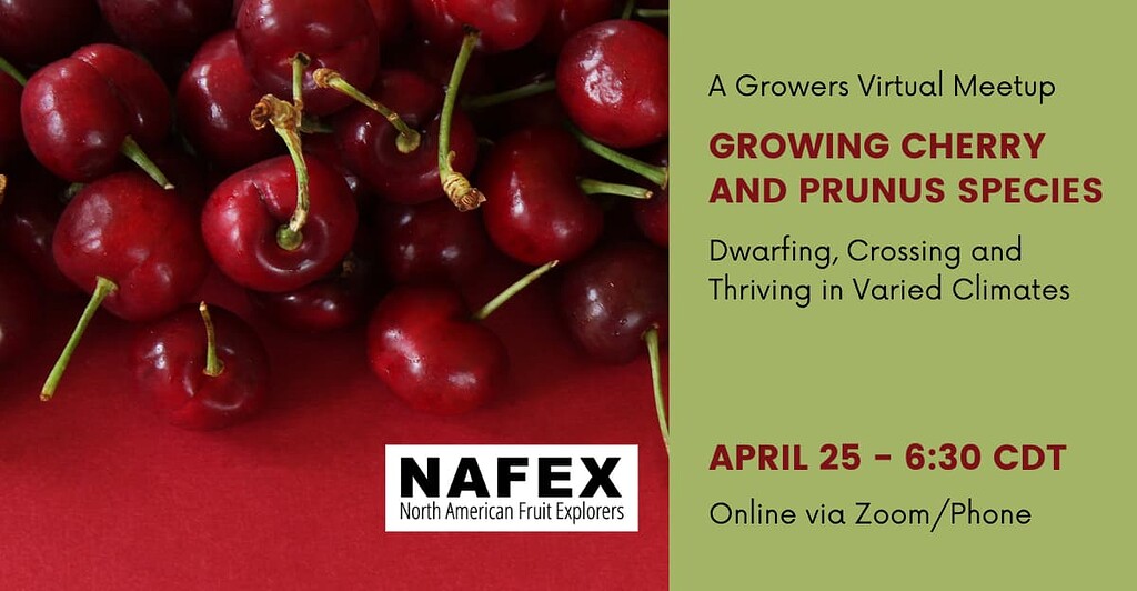 NAFEX Cherry/Prunus Online Forum, April 25, 2023 - General Fruit ...