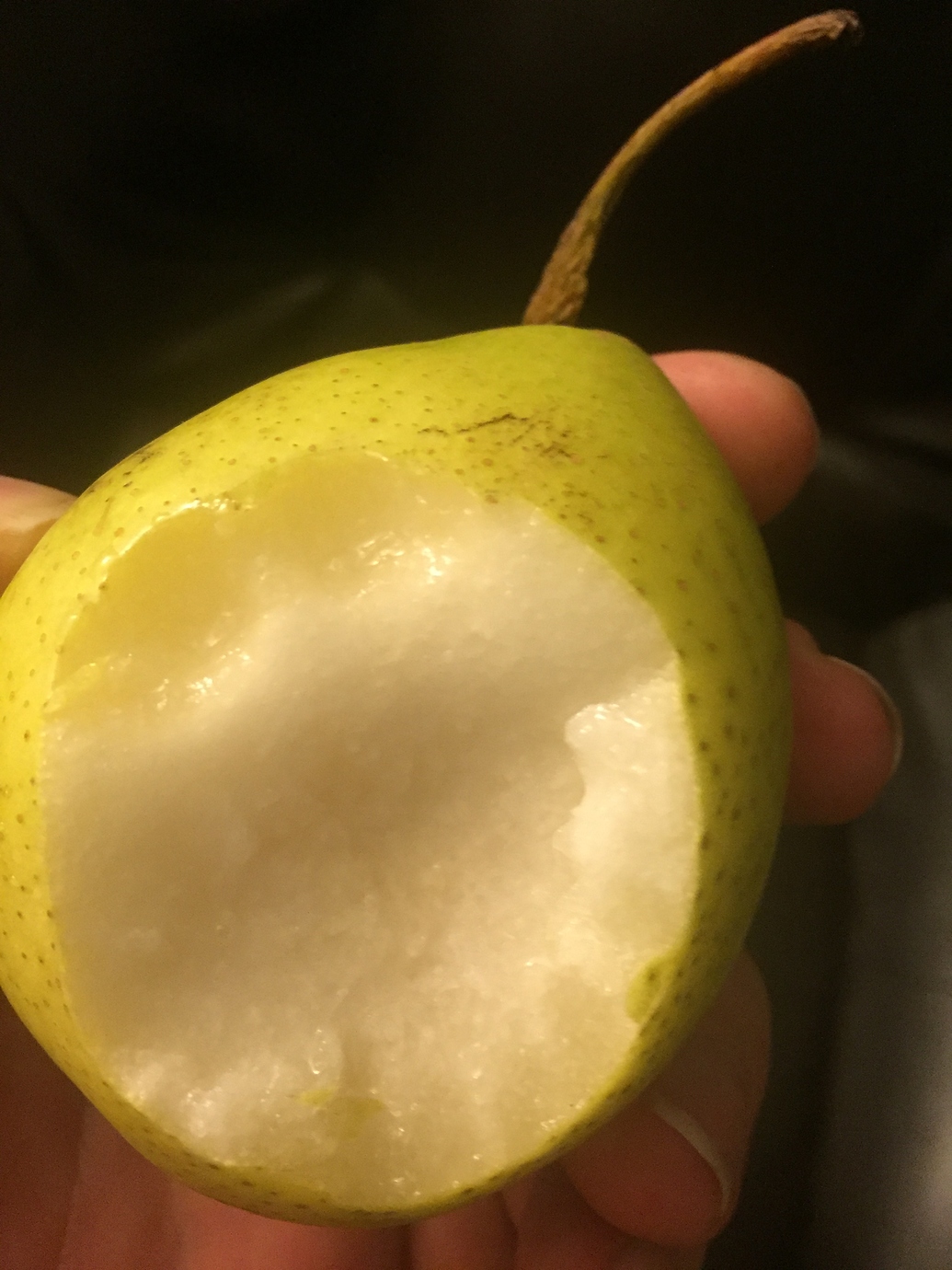 Ya Li aka yali pear - General Fruit Growing - Growing Fruit
