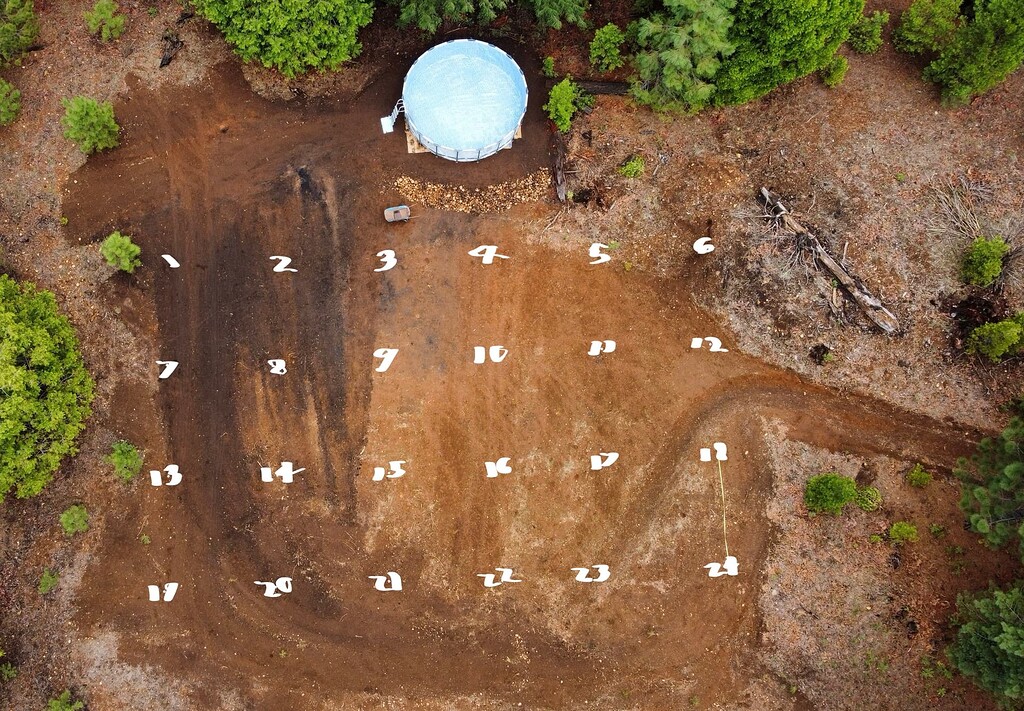 Apple Orchard Spacing - General Fruit Growing - Growing Fruit