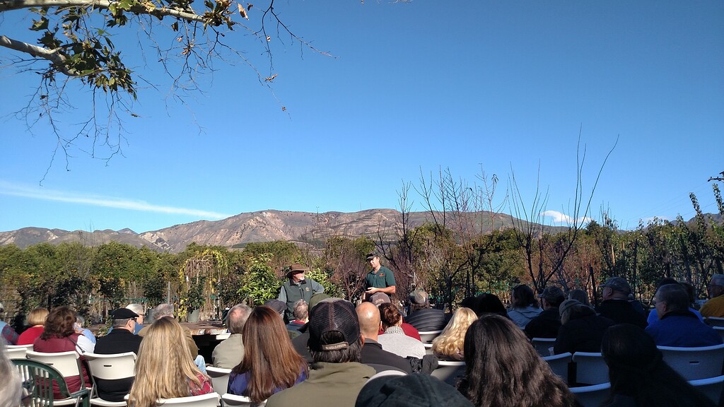 Went to Dave Wilson class by Tom Spellman, got a Sugar Twist Pluerry ...