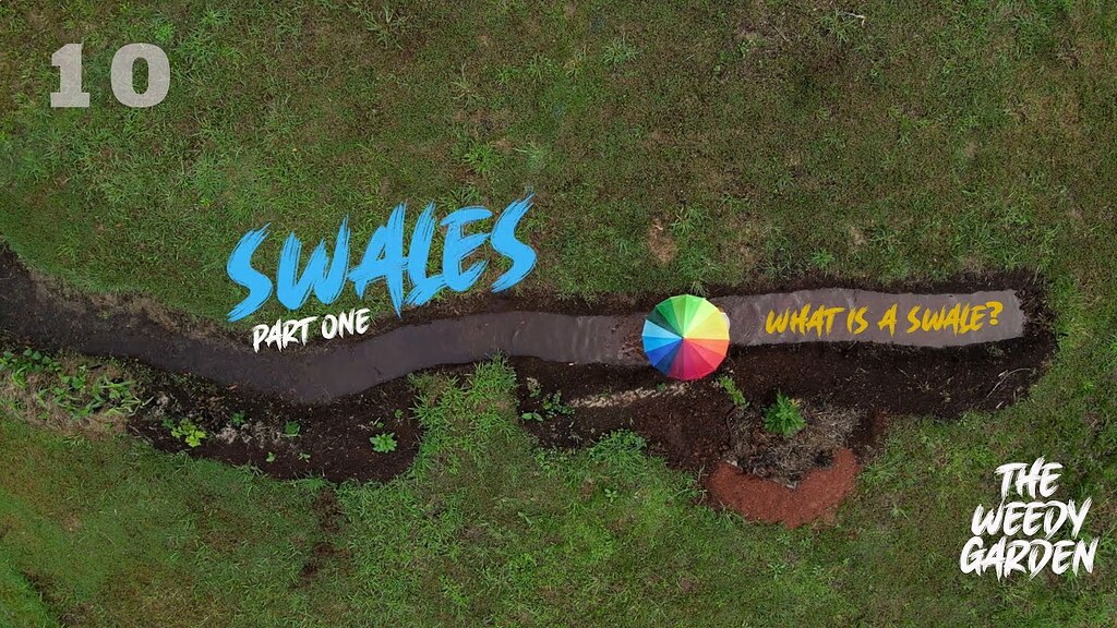 Berms and swales - terracing - creating water ways - General Gardening ...