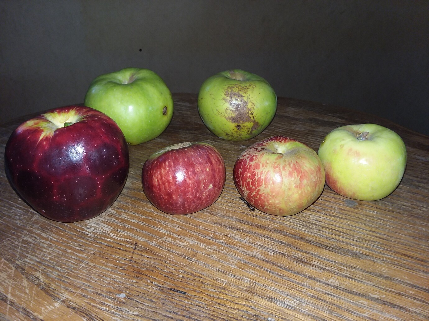 A few early apples - Pictures! - Growing Fruit