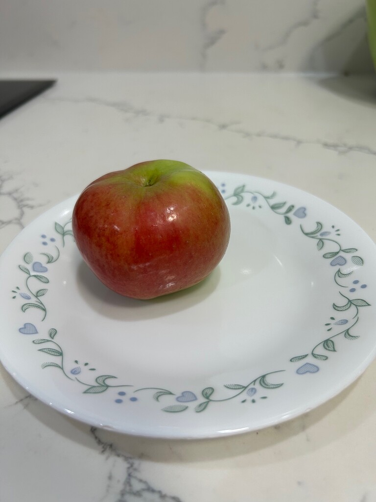 I grew my first Wynoochee Early apple! - General Fruit Growing ...