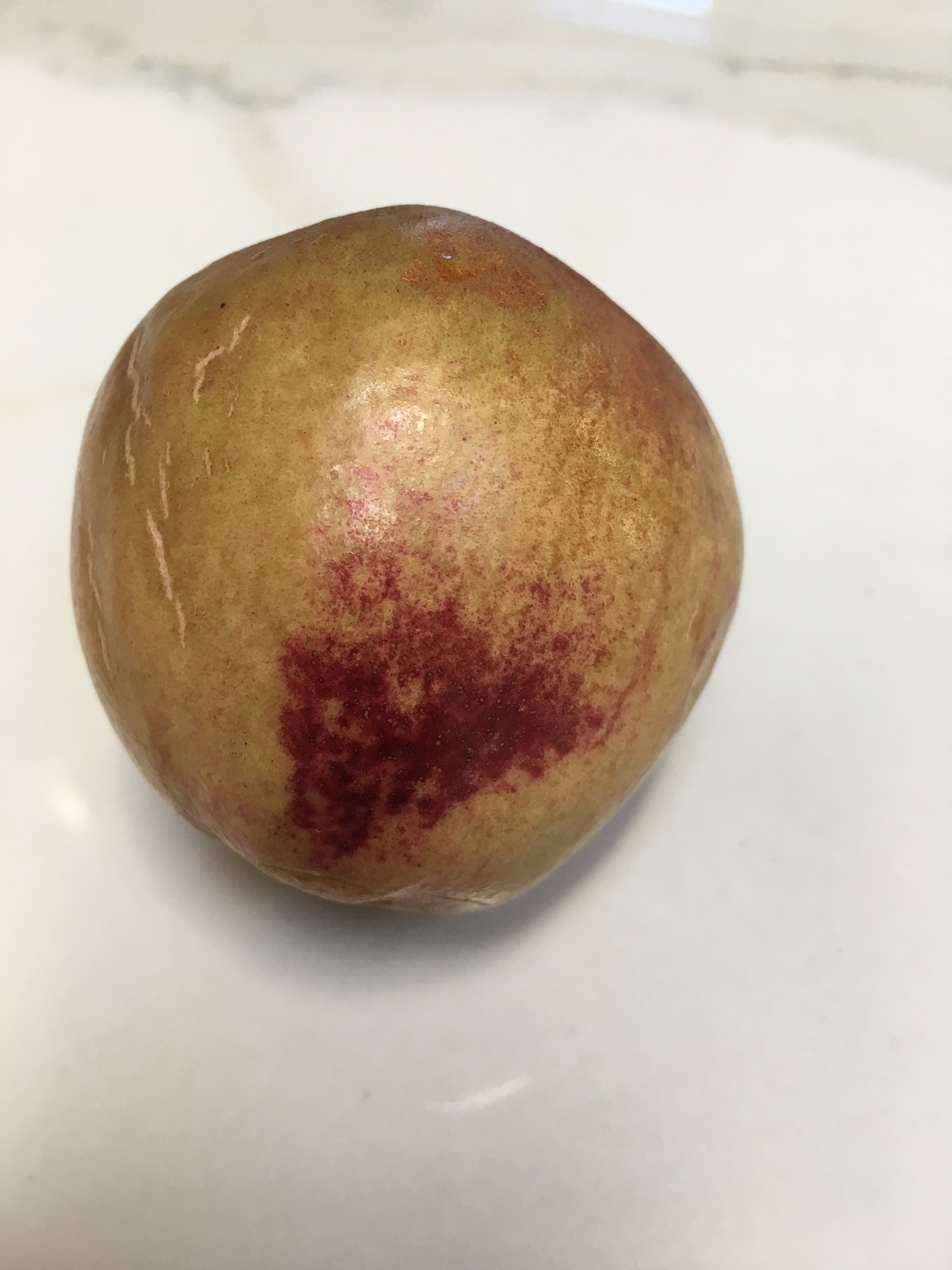 Most fragrant fruits you have grown or know - General Fruit Growing ...