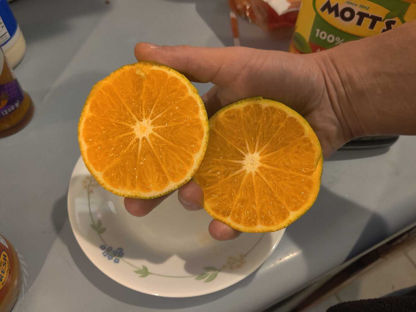 Early Satsuma Varieties - General Fruit Growing - Growing Fruit