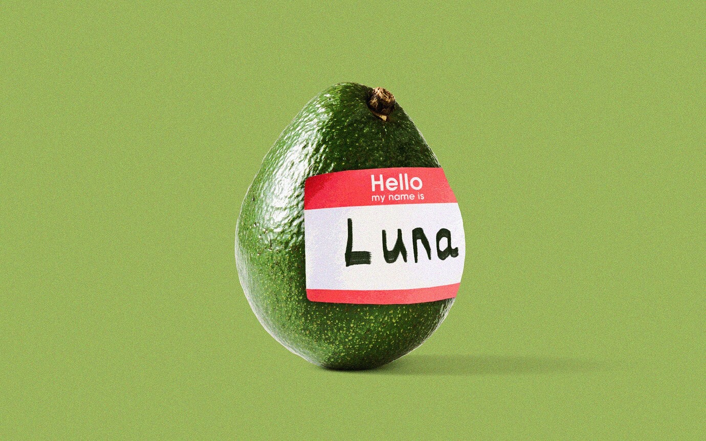 Hello,My Name is Luna - General Fruit Growing - Growing Fruit