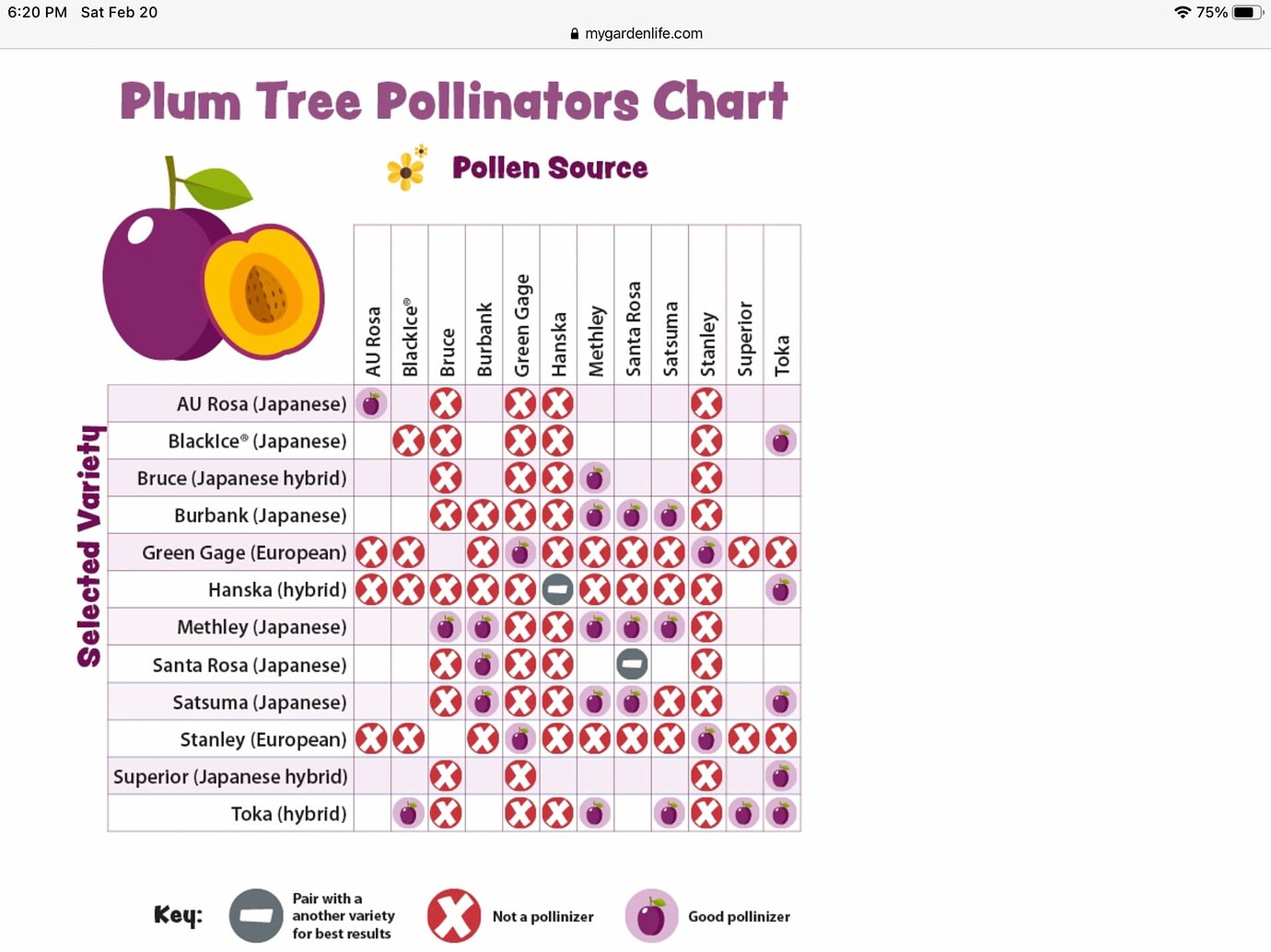 Fruit compatibility for grafting - General Fruit Growing - Growing Fruit