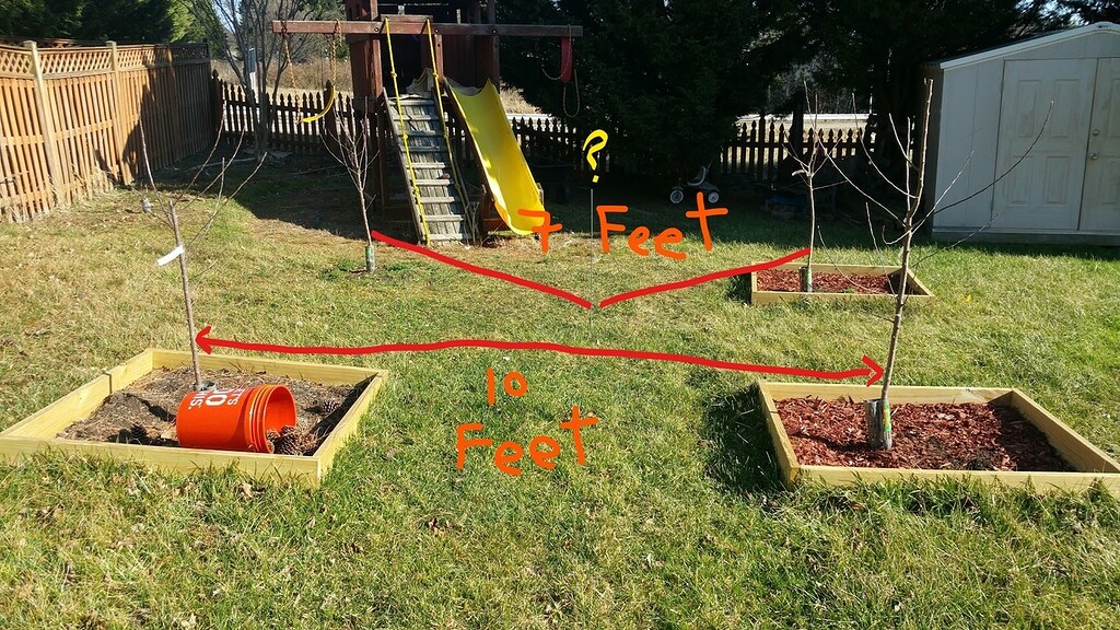 Planting Distance Advice New Fruit Trees Please - General Fruit Growing ...