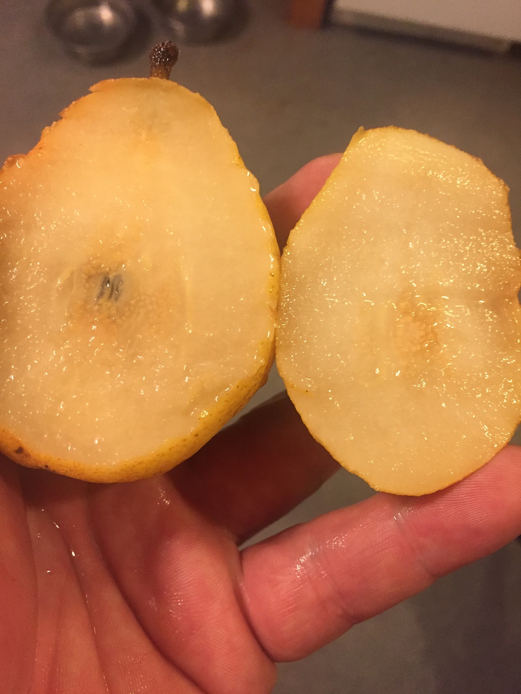 Douglas Pear - Page 2 - General Fruit Growing - Growing Fruit