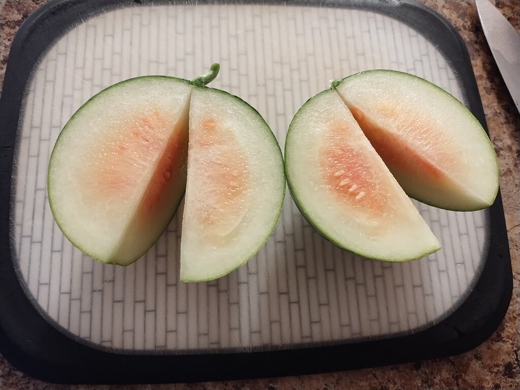 Watermelons, Specialty and Regular - General Fruit Growing - Growing Fruit