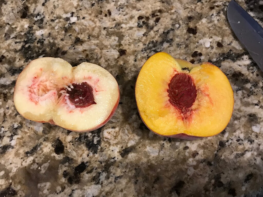 Peach ID help - General Fruit Growing - Growing Fruit