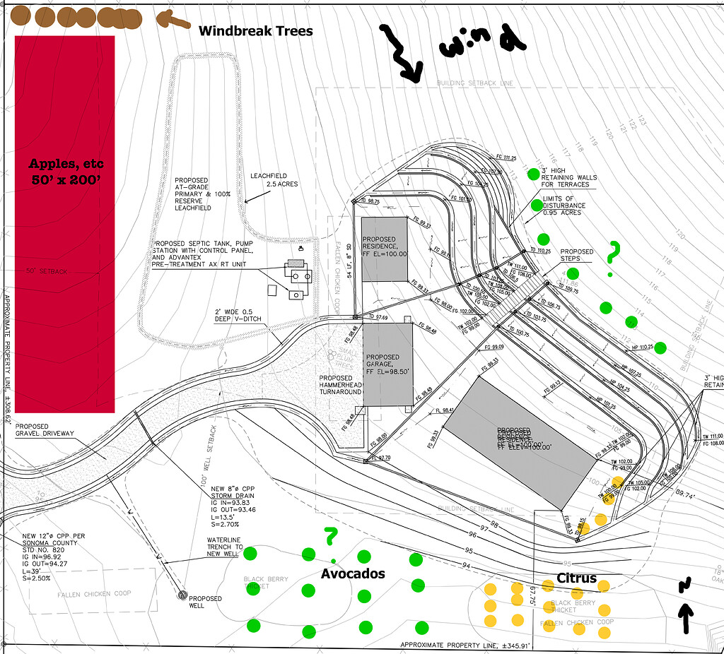 Overall Orchard Layout - General Fruit Growing - Growing Fruit