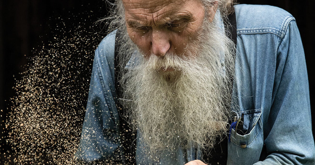 Seed saver article (Will Bonsall) - General Gardening - Growing Fruit