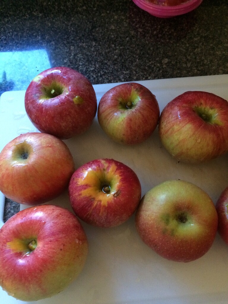 Northern Spy Apples - Page 2 - General Fruit Growing - Growing Fruit