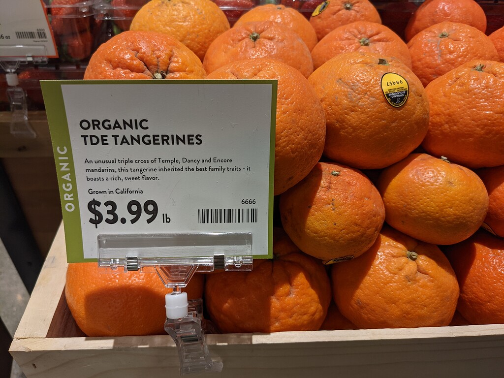 TDE mandarin/tangerine - General Fruit Growing - Growing Fruit