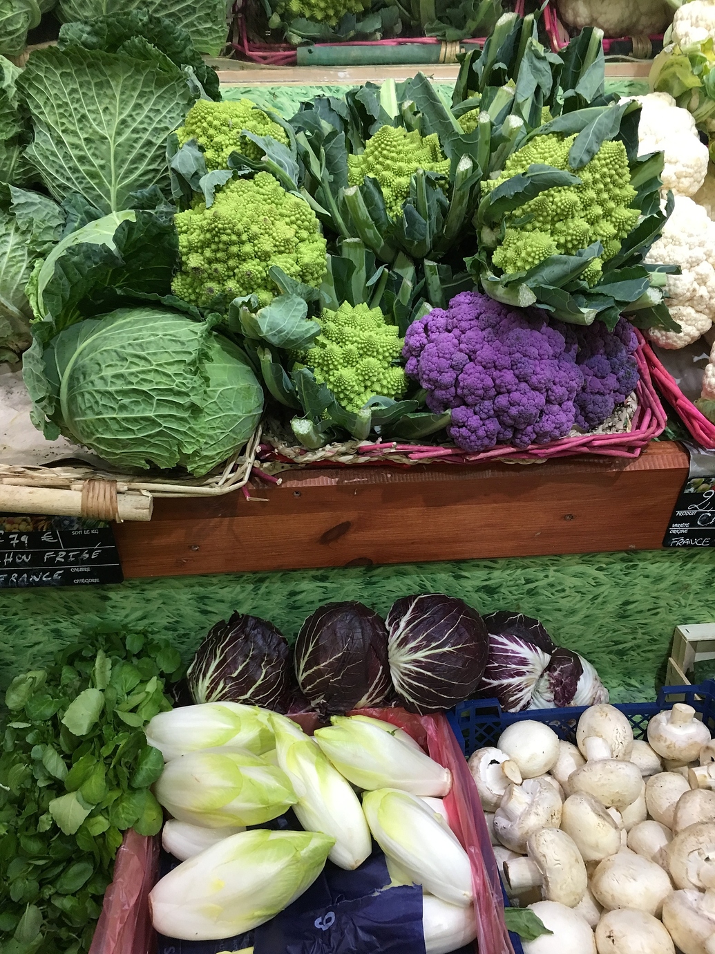 Fruit in France during sept-oct - Pictures! - Growing Fruit