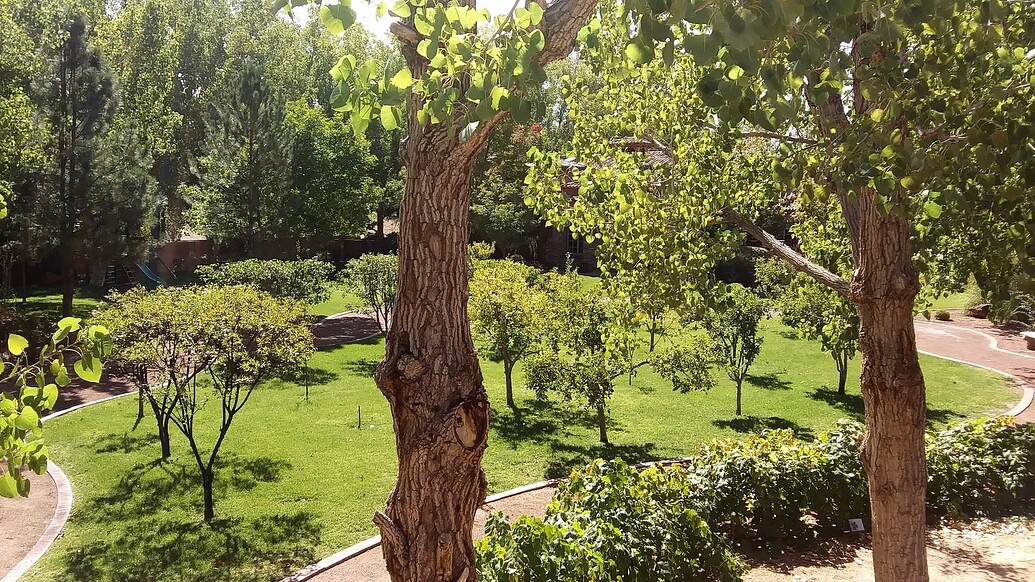 Share photos of your dream orchard or just examples of beautiful and ...