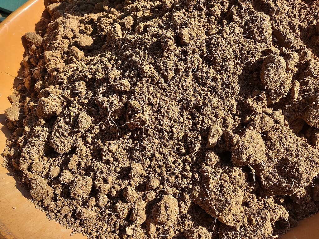 Should I amend the soil? - General Fruit Growing - Growing Fruit