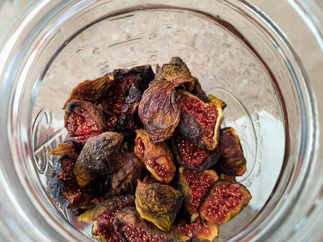 Tips for dehydrating figs - temp/time? - Fruit in the Kitchen - Growing Fruit