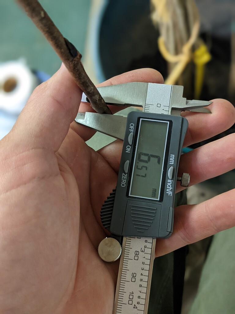 Digital Caliper for grafting - General Fruit Growing - Growing Fruit