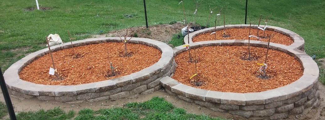 Growing Fruit in Raised Beds - General Fruit Growing - Growing Fruit