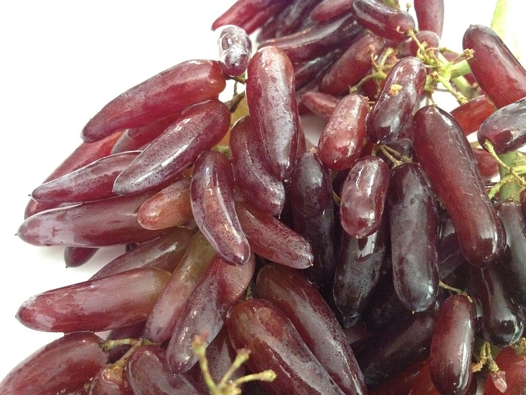 Strange shaped grapes - General Fruit Growing - Growing Fruit