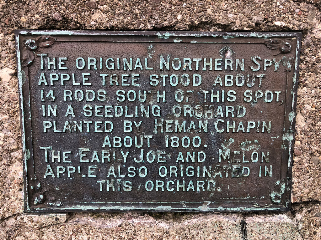 Pilgrimage to the original Northern Spy site - Pictures! - Growing Fruit