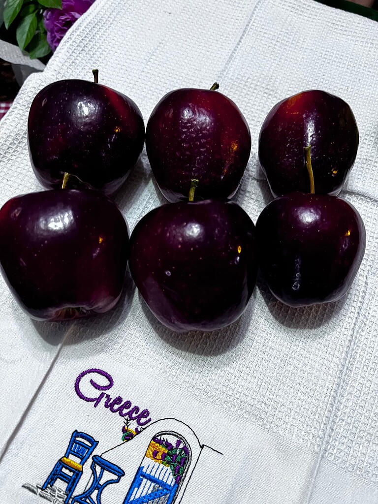 Your opinion about my modi apple - General Fruit Growing - Growing Fruit