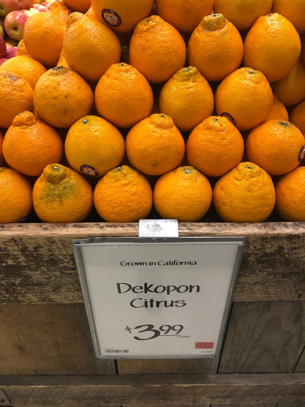 Sumo Citrus® - General Fruit Growing - Growing Fruit