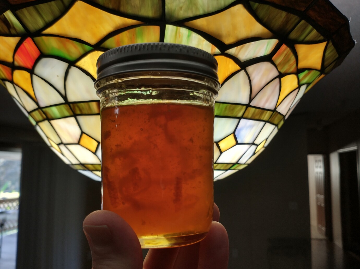 Satsuma marmalade - Fruit in the Kitchen - Growing Fruit