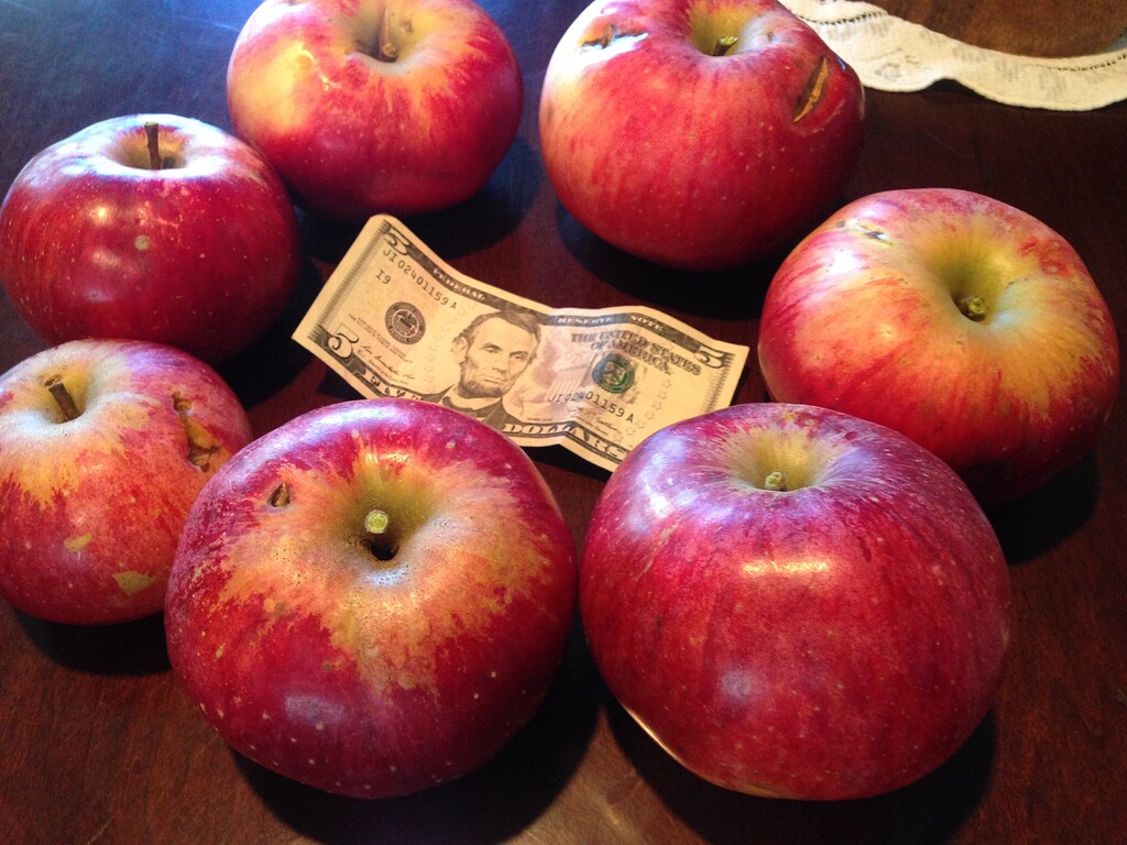 Baldwin Apple Identifcation - General Fruit Growing - Growing Fruit