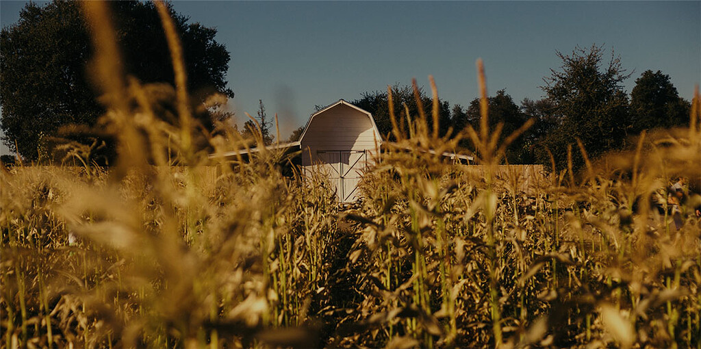 Obtaining a phytosanitary certificate via USDA APHIS - General ...