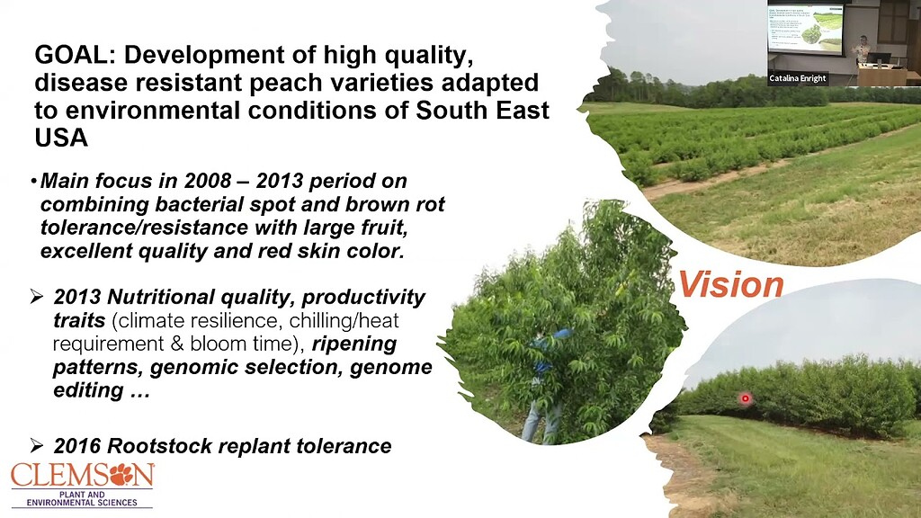 A couple youtube videos on breeding efforts - General Fruit Growing ...