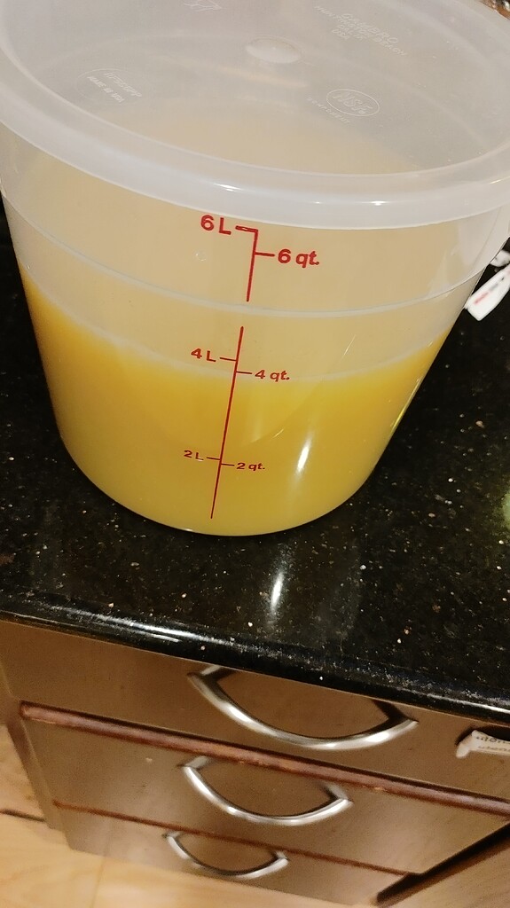 Quince Juice - General Fruit Growing - Growing Fruit