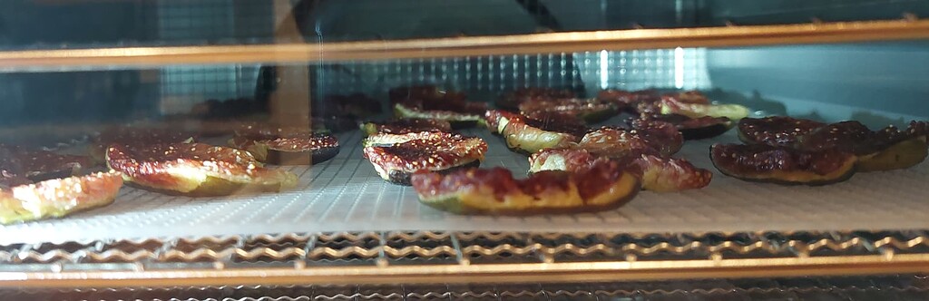 Tips for dehydrating figs - temp/time? - Fruit in the Kitchen - Growing ...