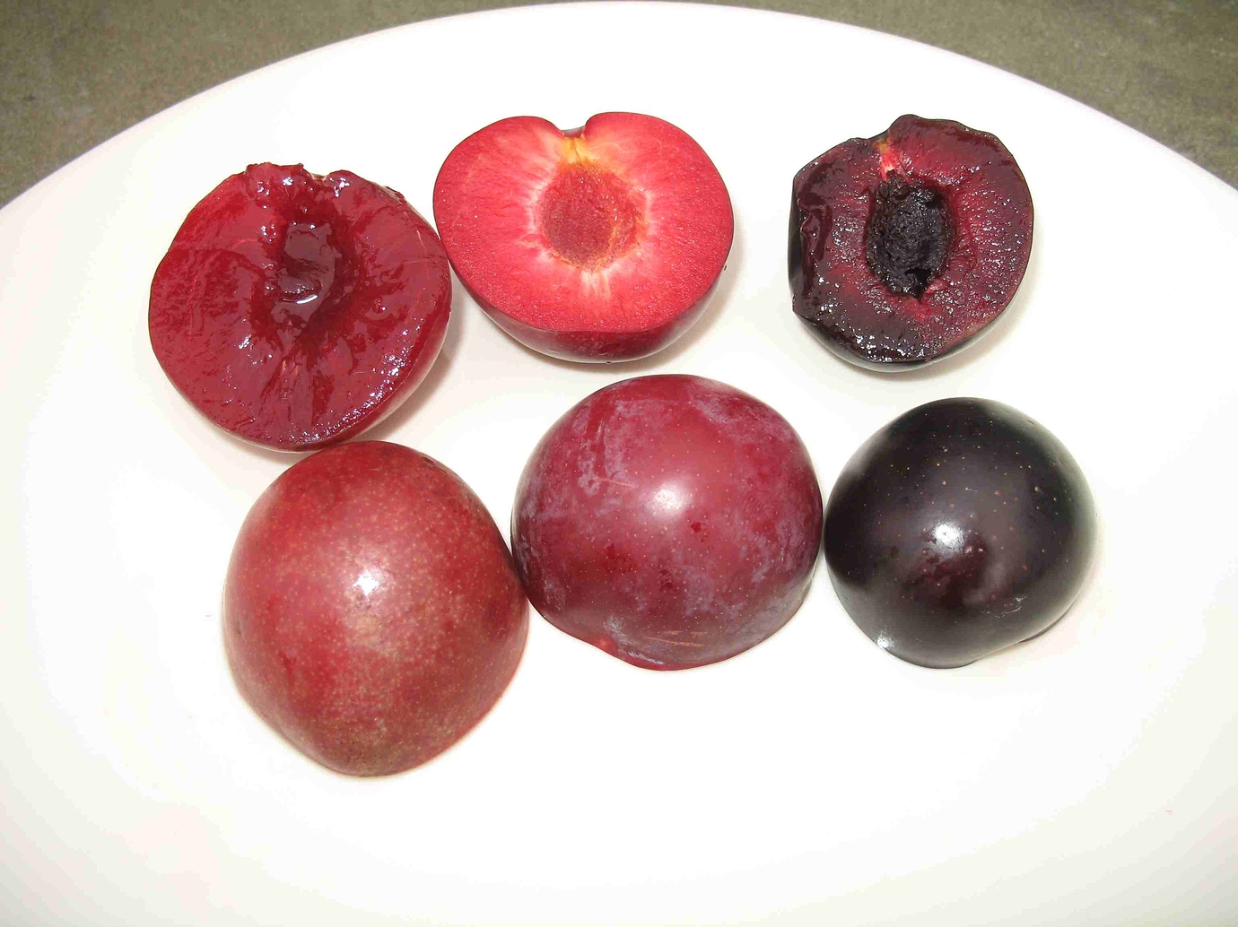 Elephant Heart- Queen of J. plums - General Fruit Growing - Growing Fruit