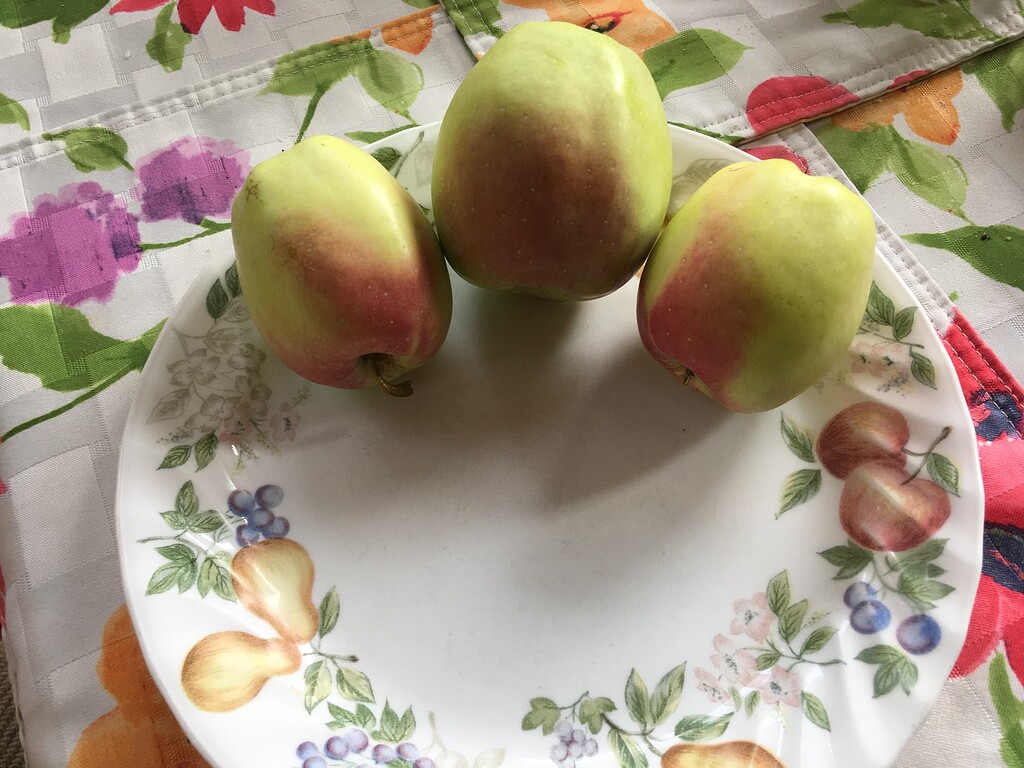 Name that apple - General Fruit Growing - Growing Fruit