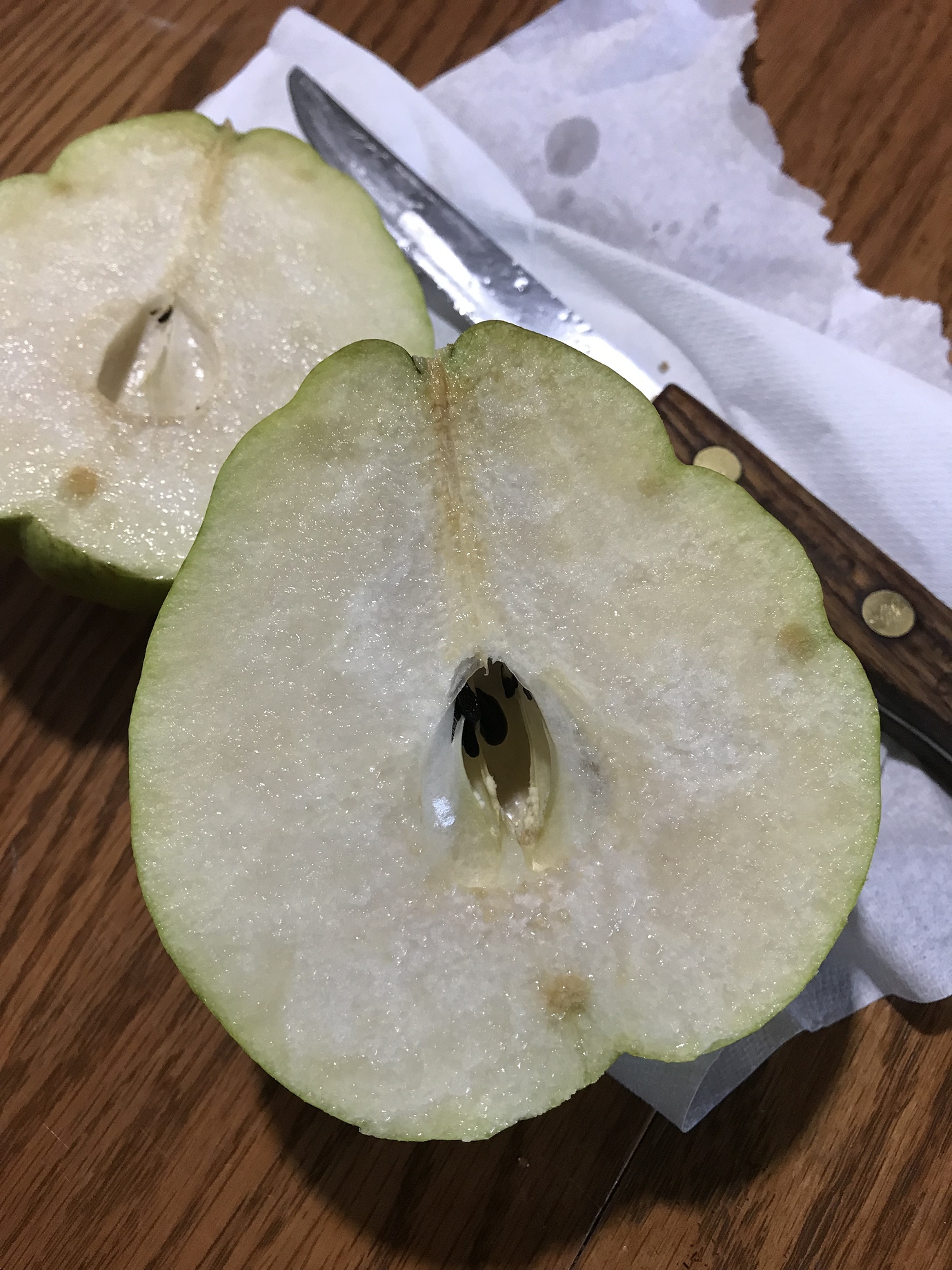 Who's growing the Xinjiang Fragrant Pear? - General Fruit Growing ...