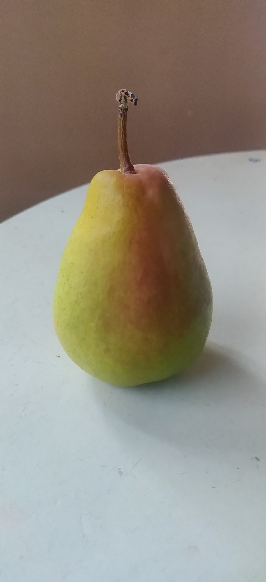 Unpredictable ripening of Moonglow pear - General Fruit Growing ...
