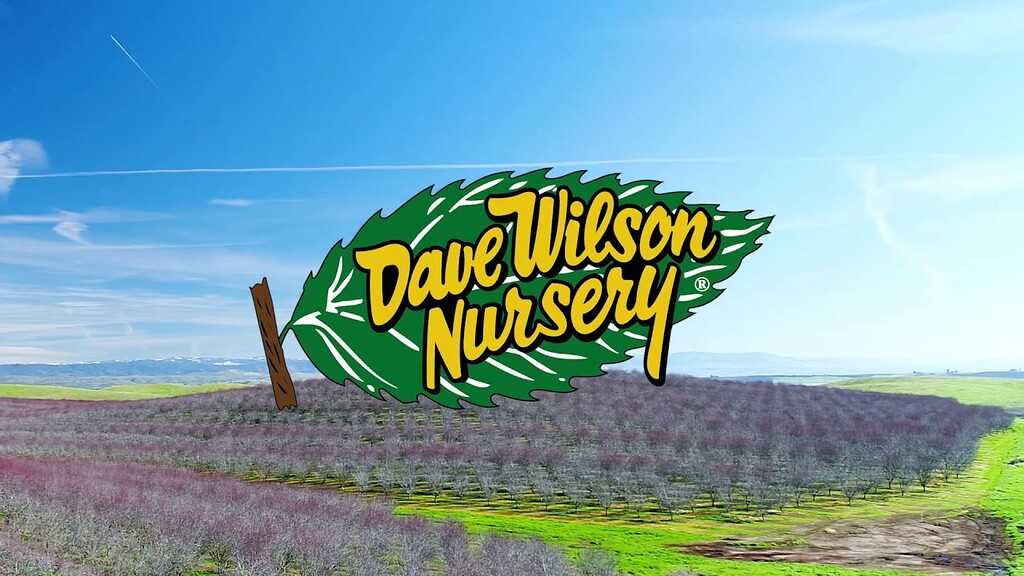 This is how Dave Wilson harvests bare root trees - General Fruit ...