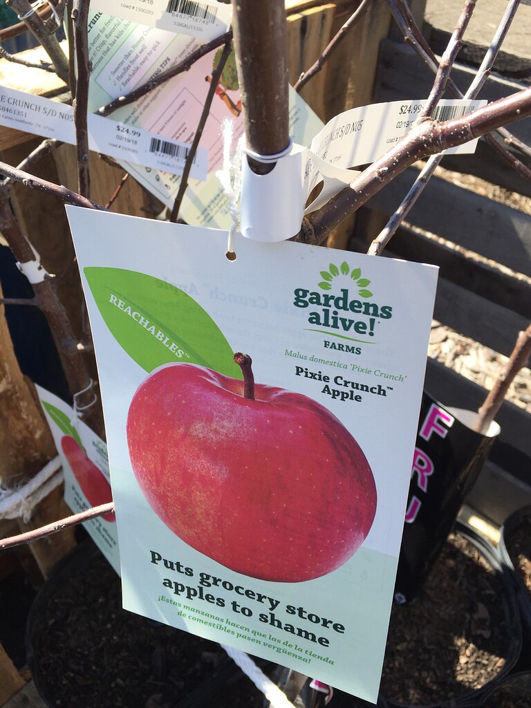 Pixie Crunch at Rural King - General Fruit Growing - Growing Fruit