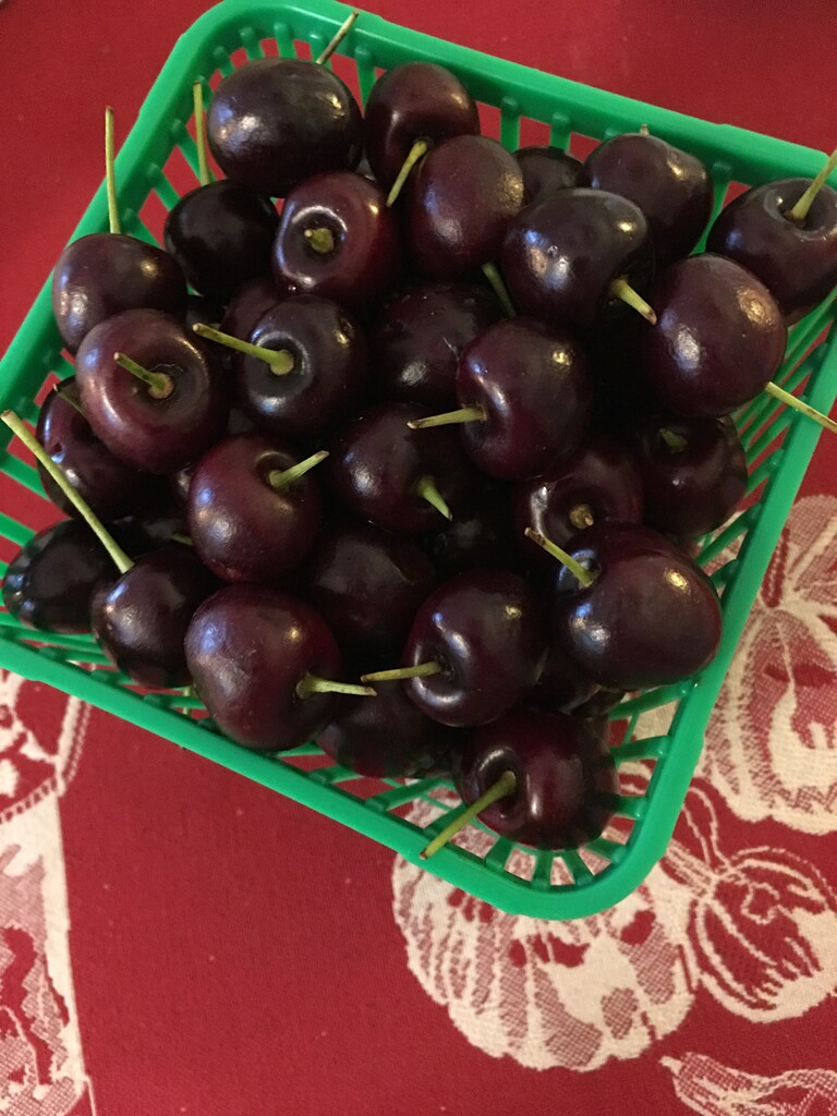 A gift from Mamuang - Fruit in the Kitchen - Growing Fruit