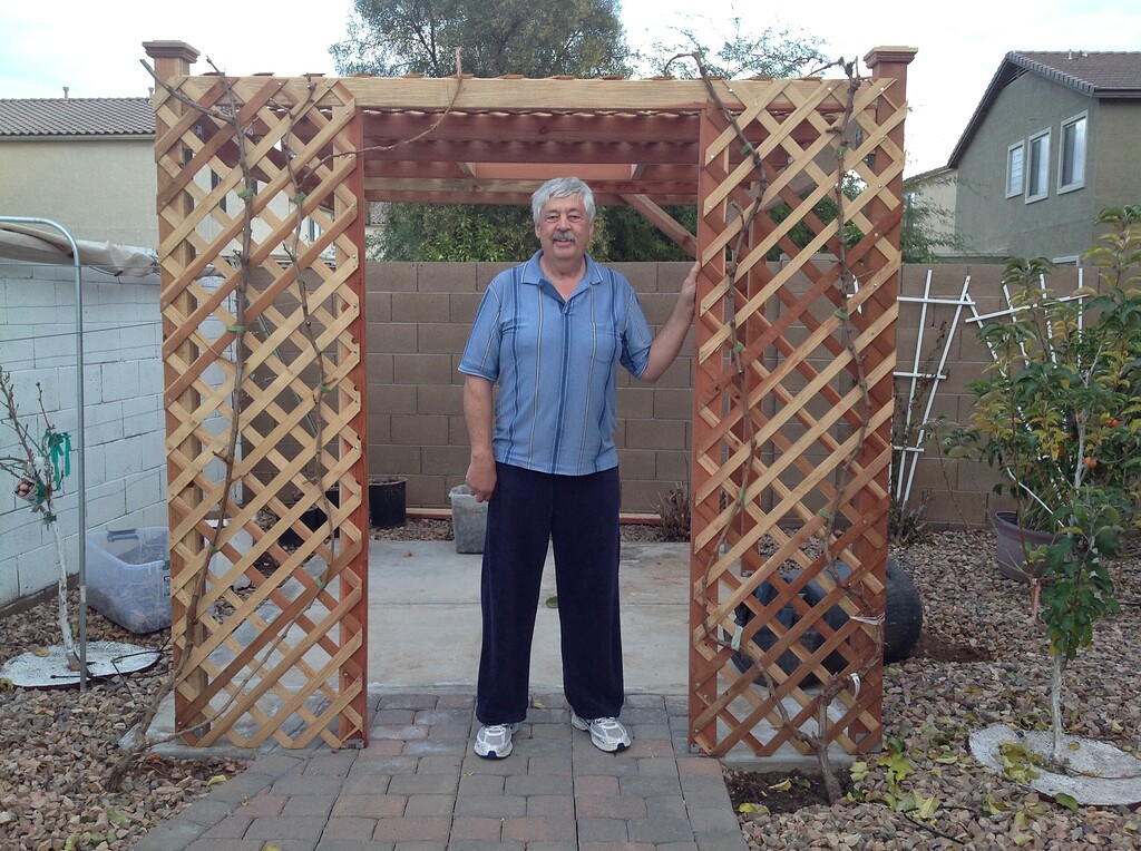 New grape arbor - General Fruit Growing - Growing Fruit