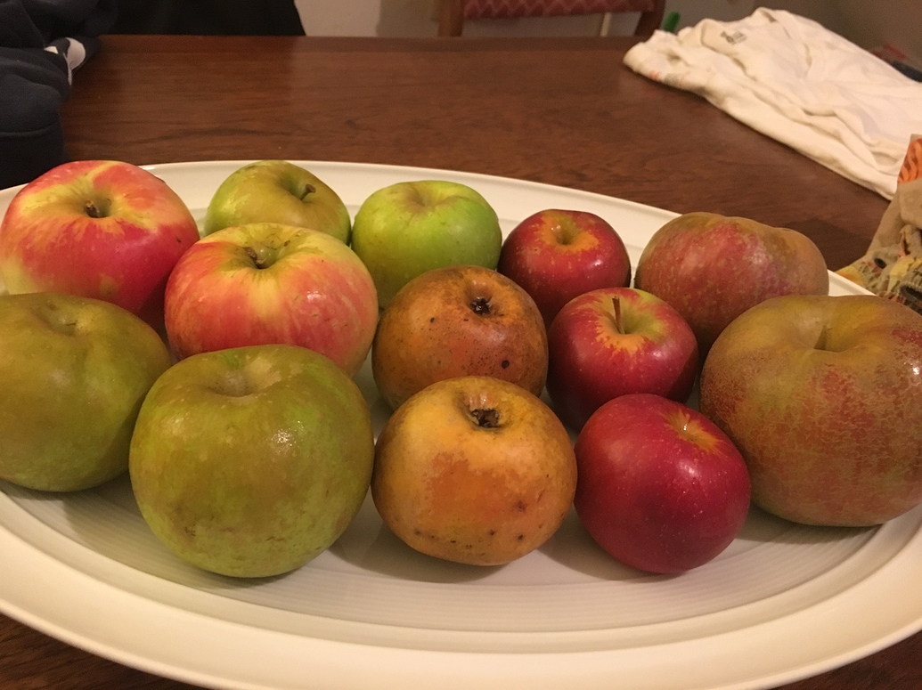 Best tasting apples - General Fruit Growing - Growing Fruit