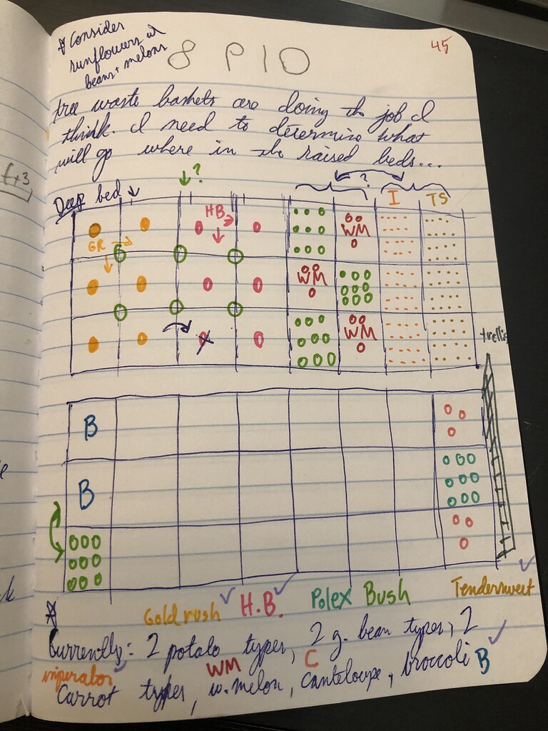 Raised bed layout! Thoughts? - General Gardening - Growing Fruit